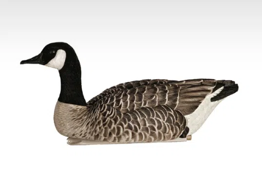 Avian-X Top Flight Honkers Goose Floating Decoys 4PK - VICTORY RIDGE SPORTS